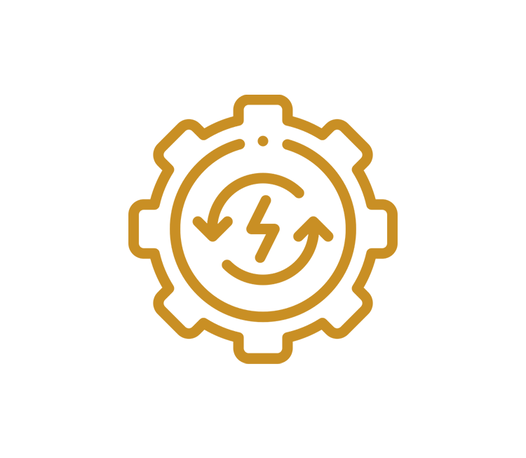 Climate Neutrality Pyropower Gmbh